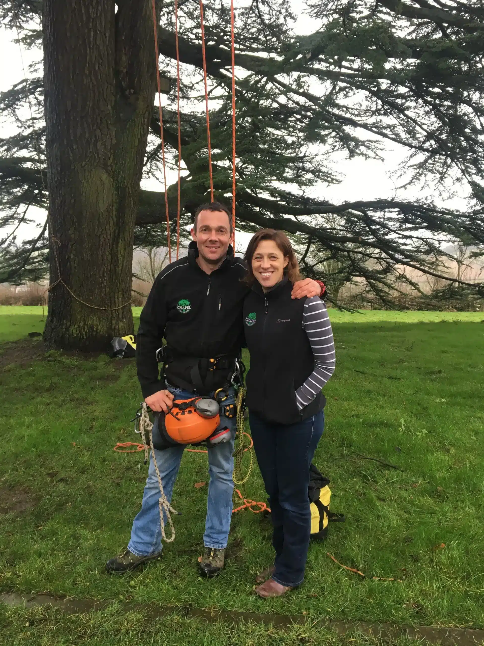 Local Tree Surgeons | About Us | Chapel Tree Services